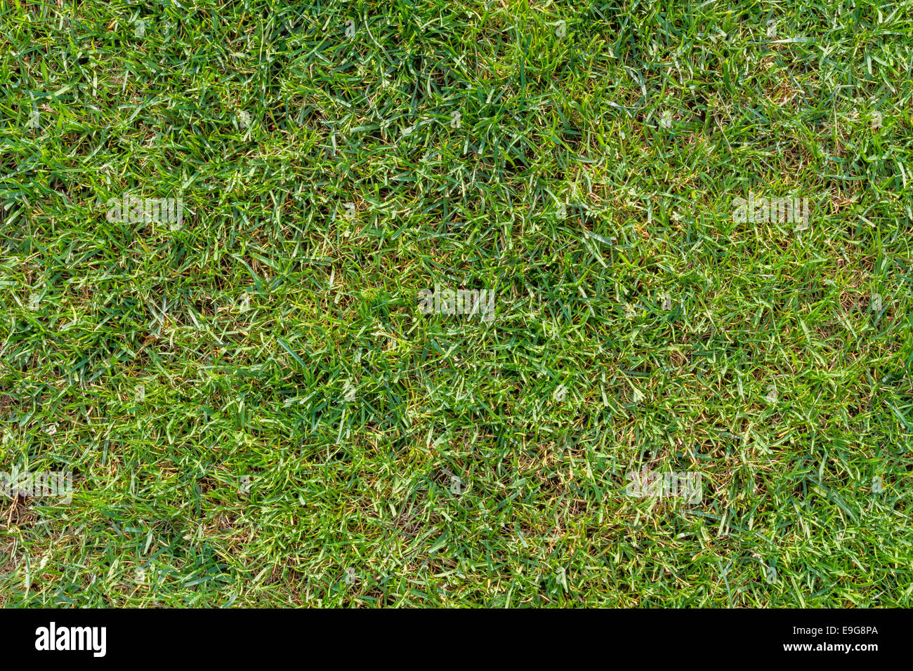 In plan view hi-res stock photography and images - Alamy