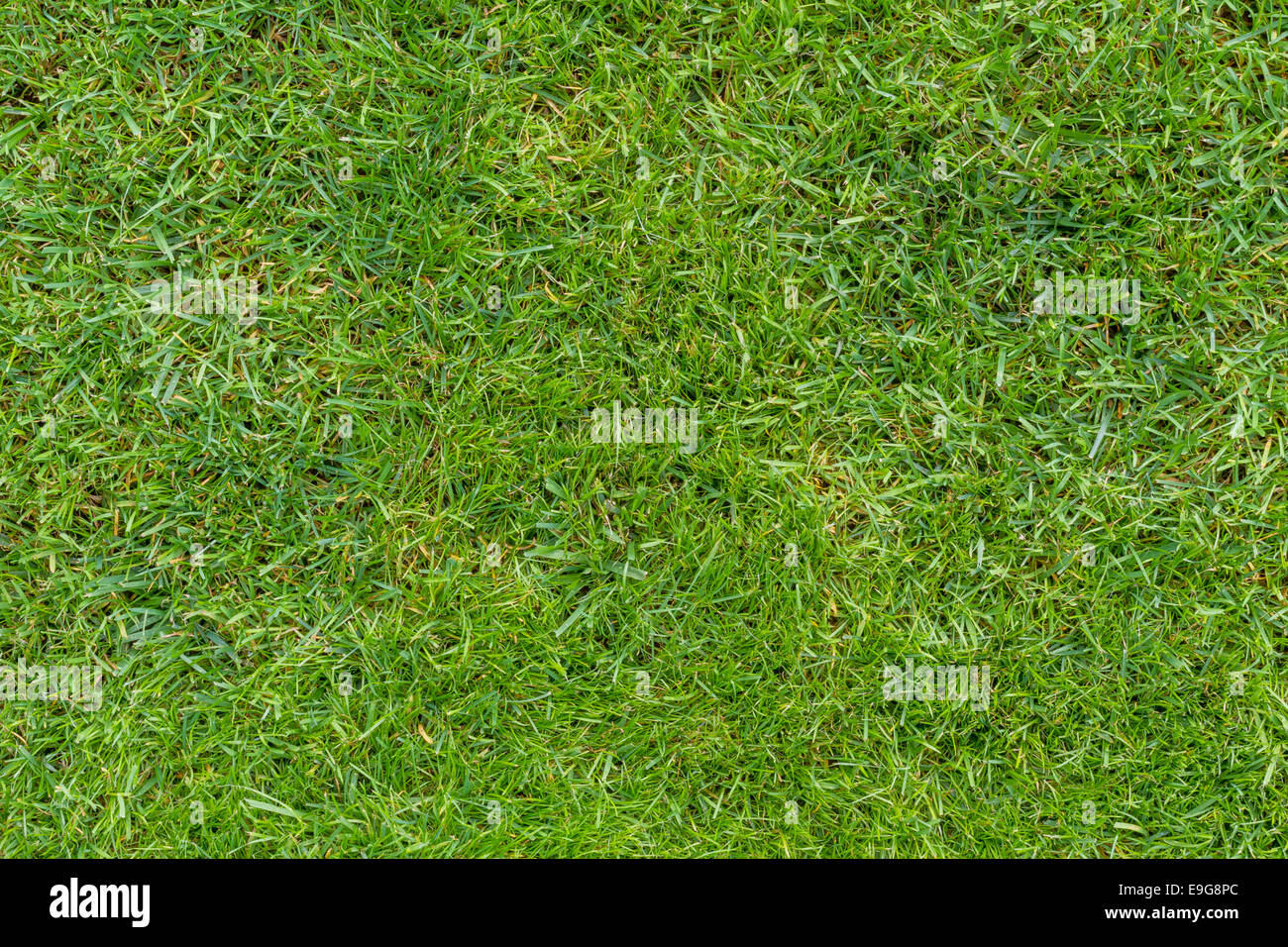 Plan view hi-res stock photography and images - Alamy