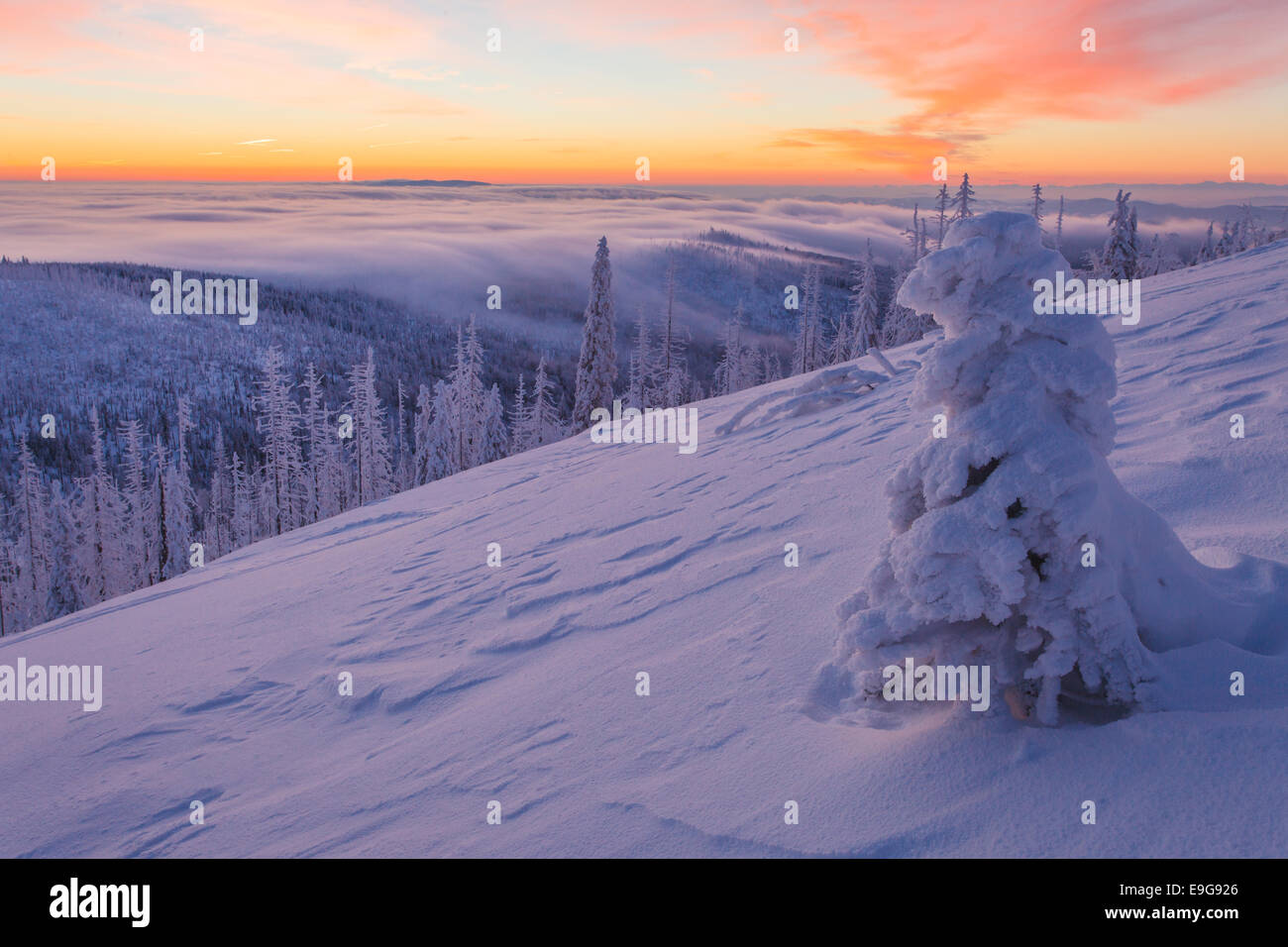 Bavarian Forest National Park Stock Photo - Alamy