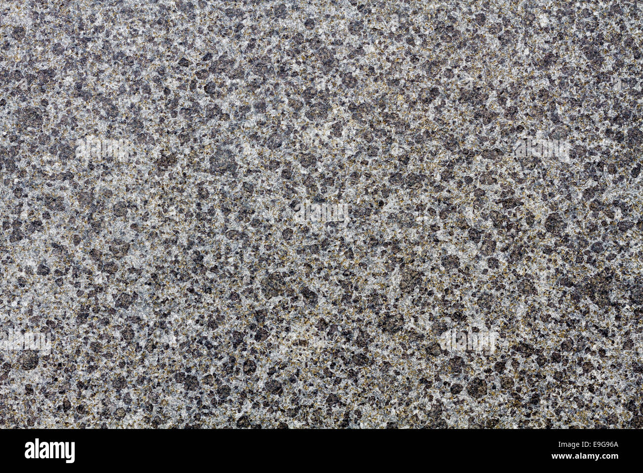 Stone plate in shiny black and white grain Stock Photo - Alamy