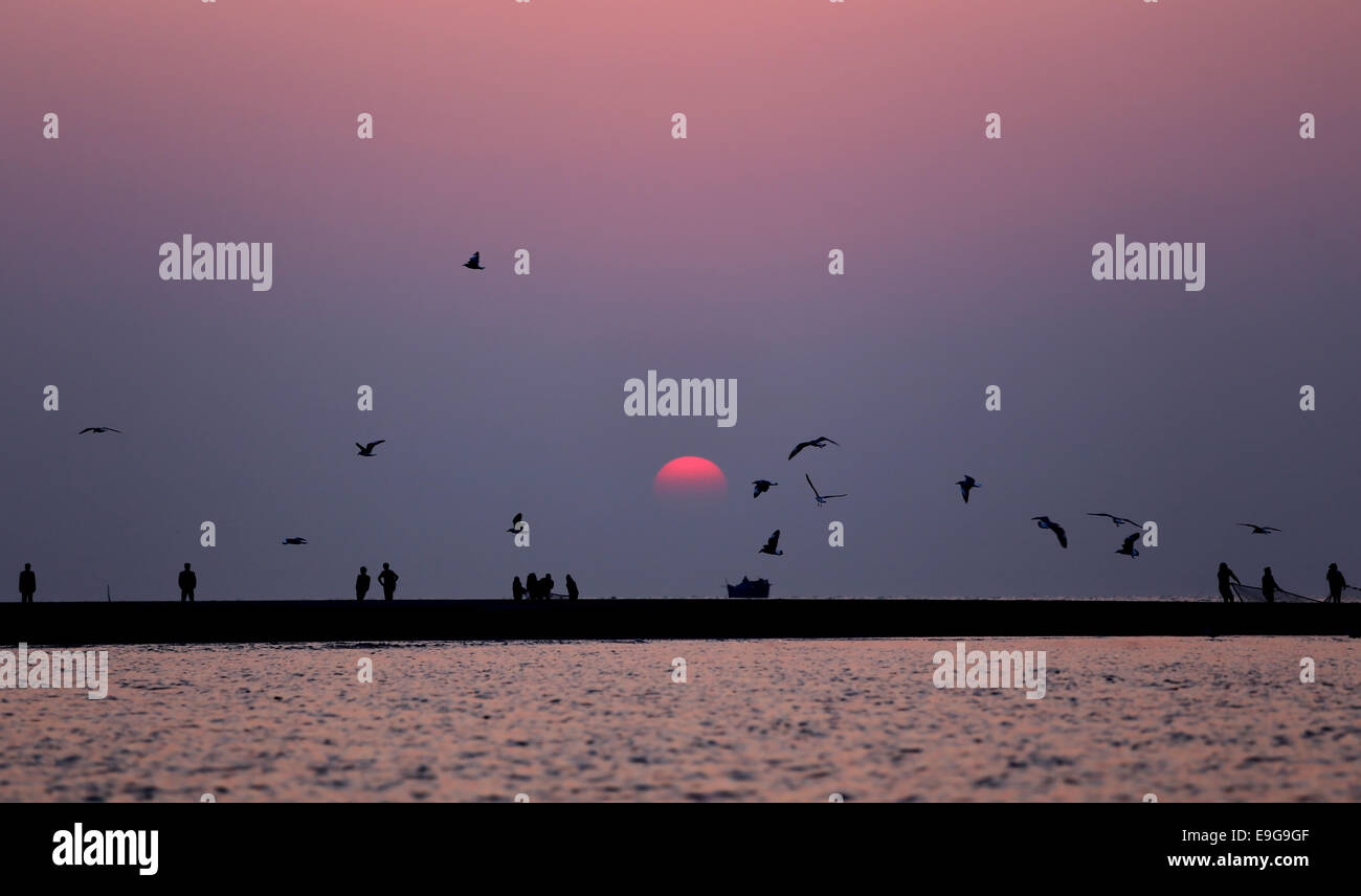 Sunrise on seashore with flying birds at Kuakata, Bangladesh Stock ...