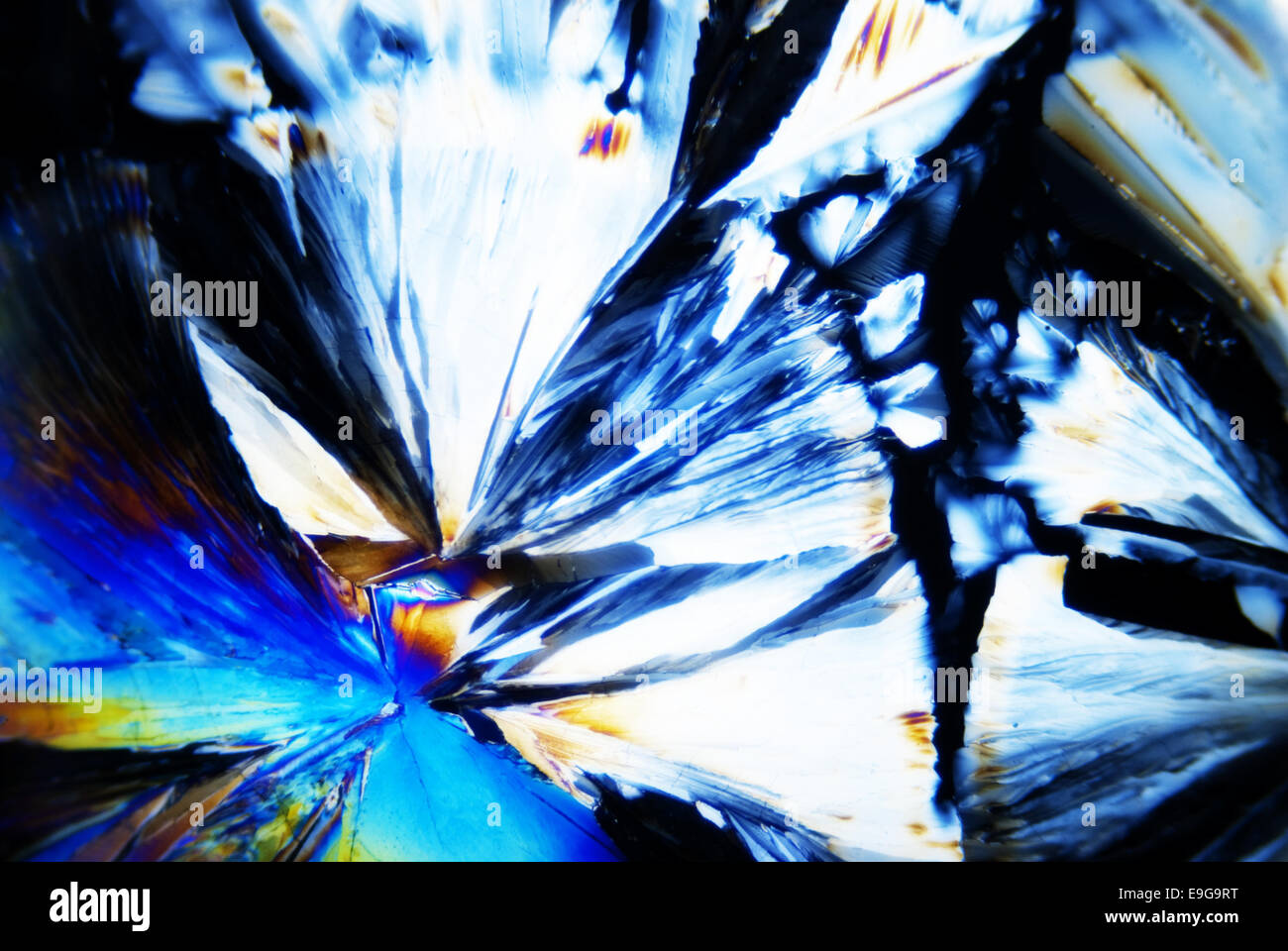 Mikroskop optik hi-res stock photography and images - Alamy