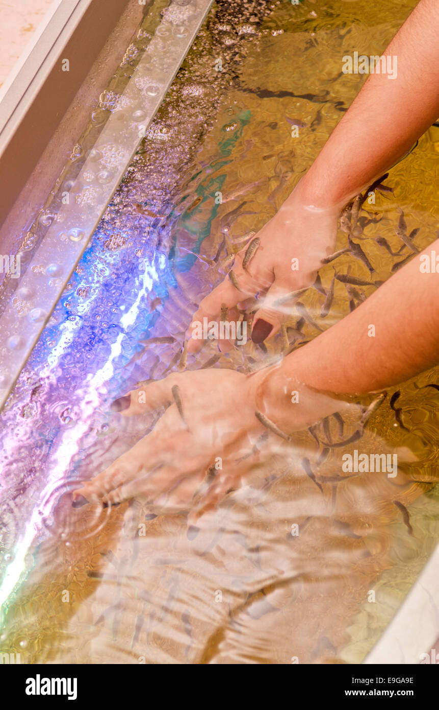 Fish therapy hi-res stock photography and images - Alamy