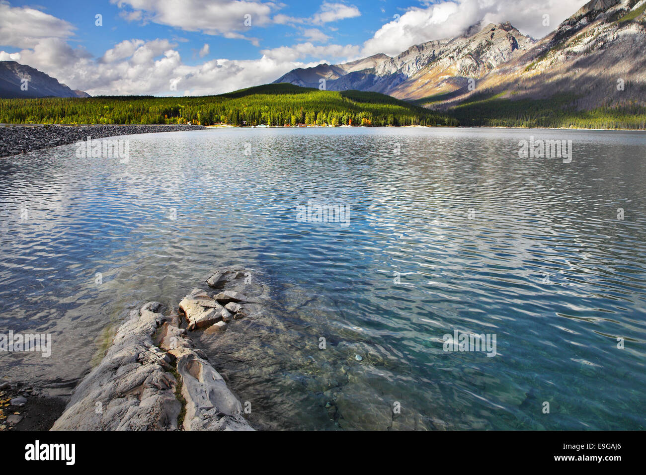 Small lake bank Stock Photo - Alamy