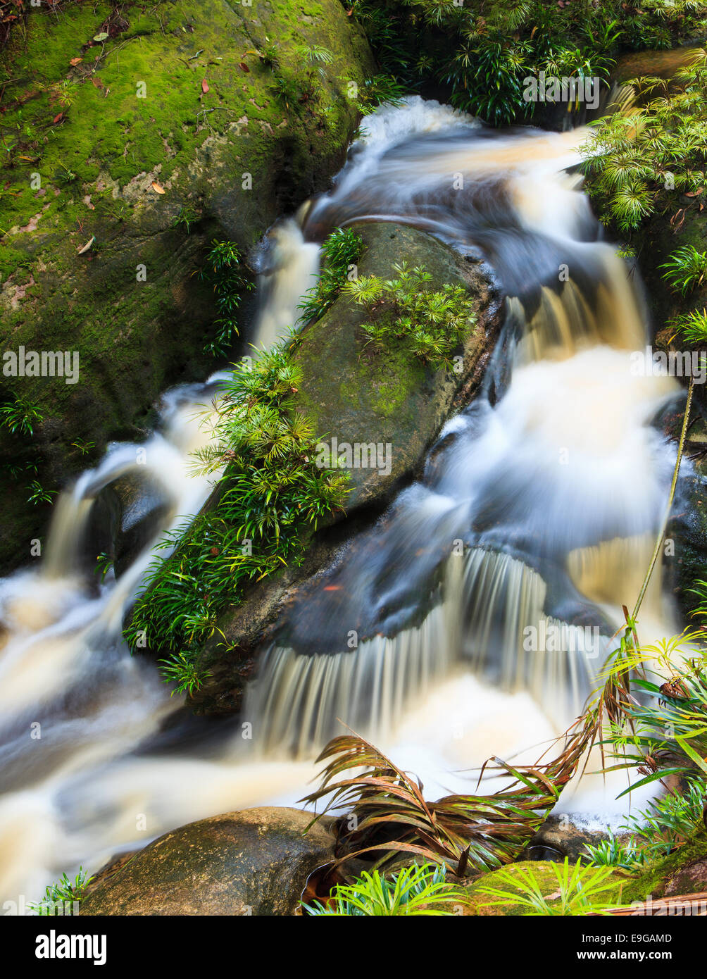 Small waterfall in jungle Stock Photo - Alamy