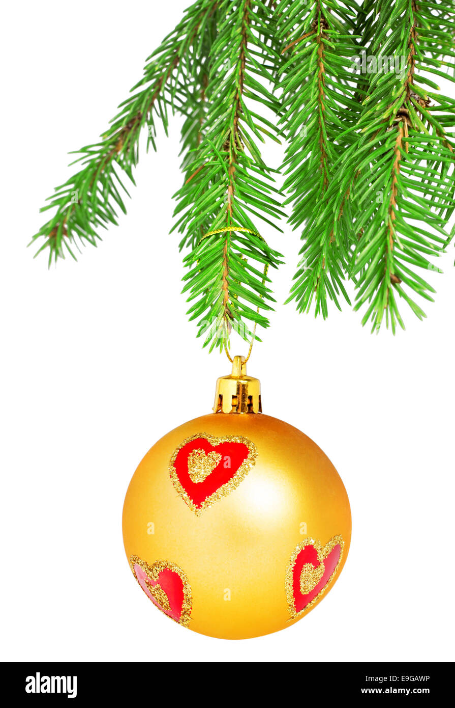 Christmas ball on the tree closeup on white background isolate Stock ...