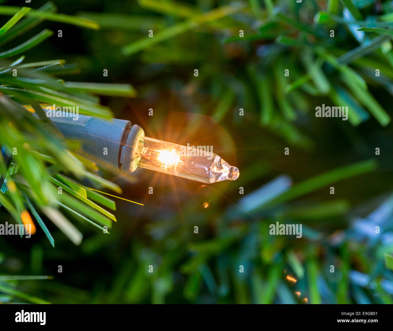 Christmas tree from small hi-res stock photography and images - Alamy