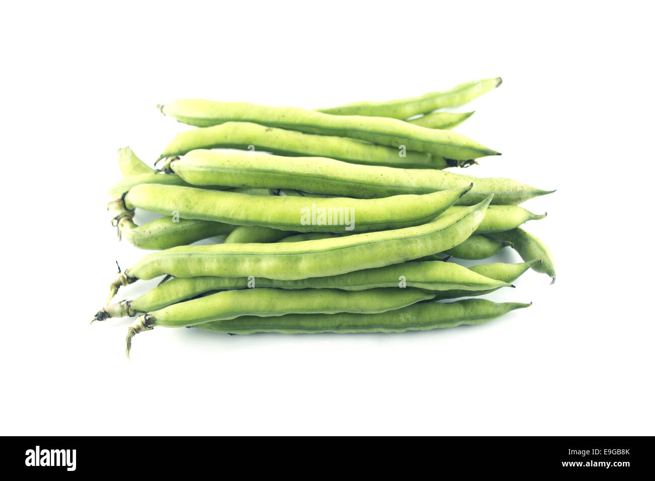 broad bean pods Stock Photo - Alamy