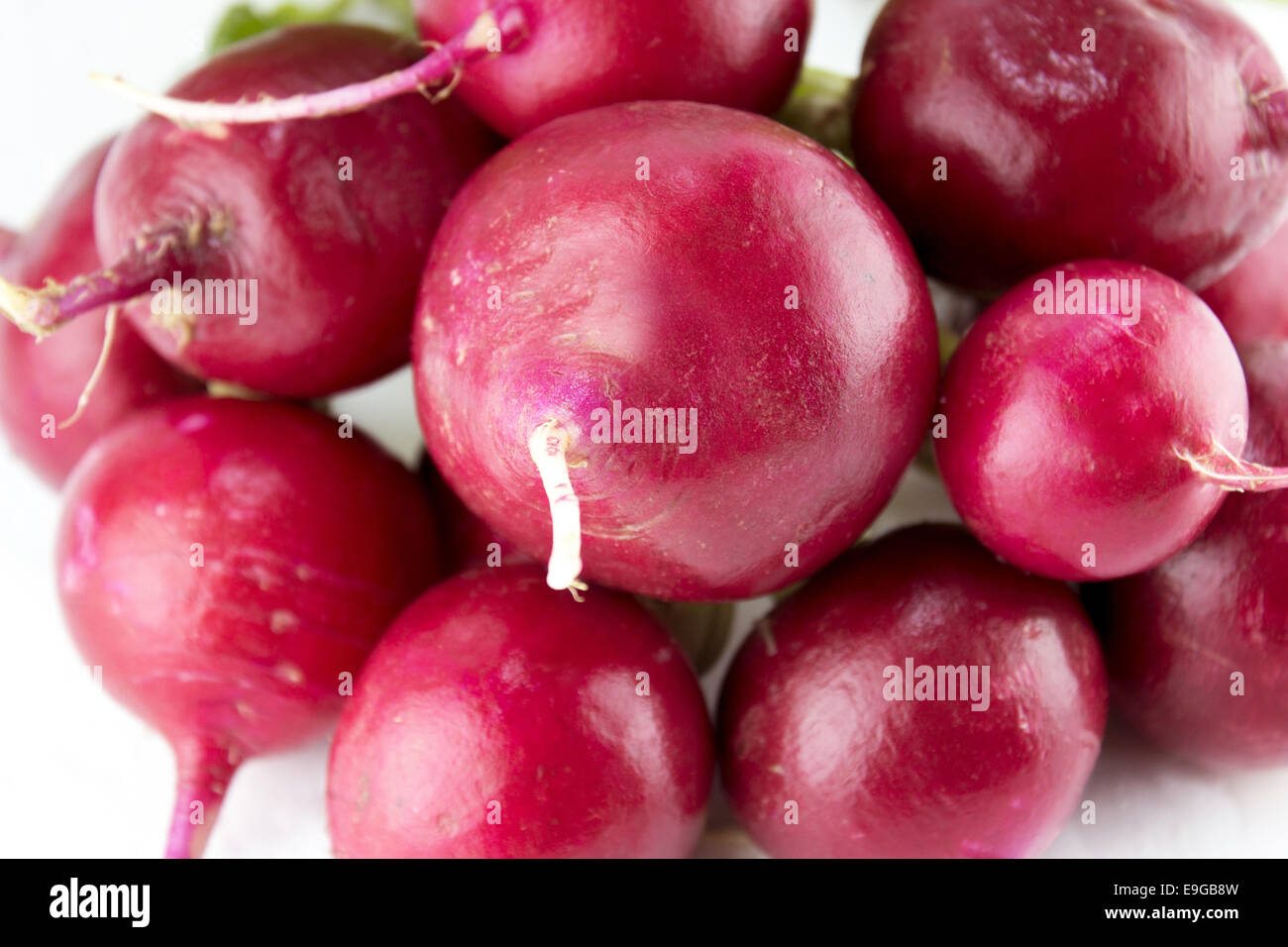 Small garden red radish Stock Photo - Alamy