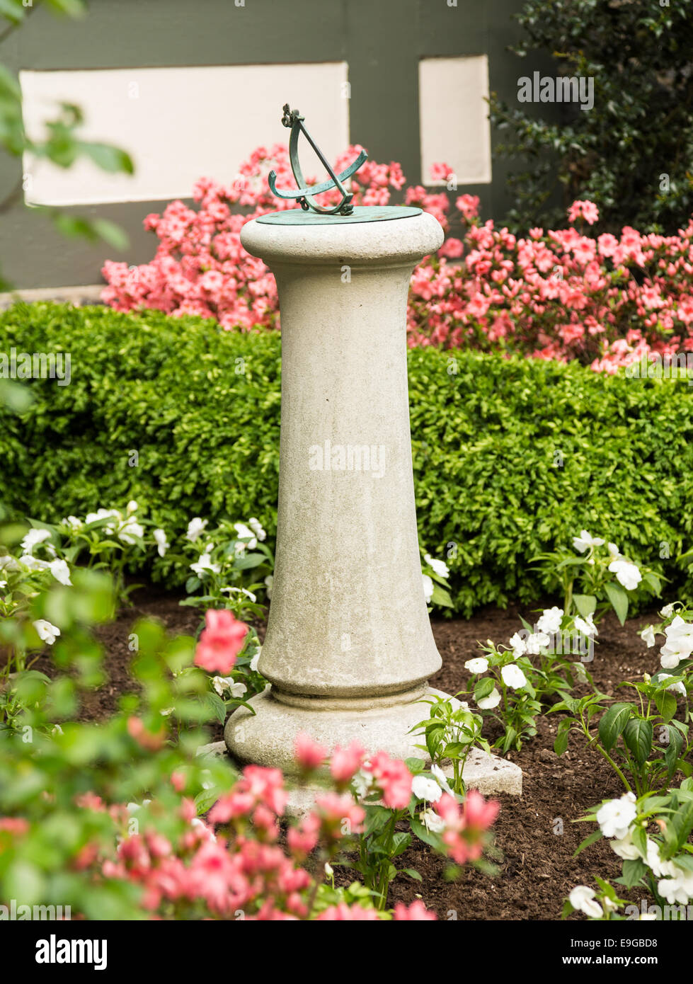 Sundial flower hi-res stock photography and images - Alamy