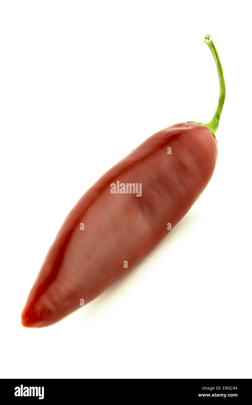 red hot chili Stock Photo - Alamy