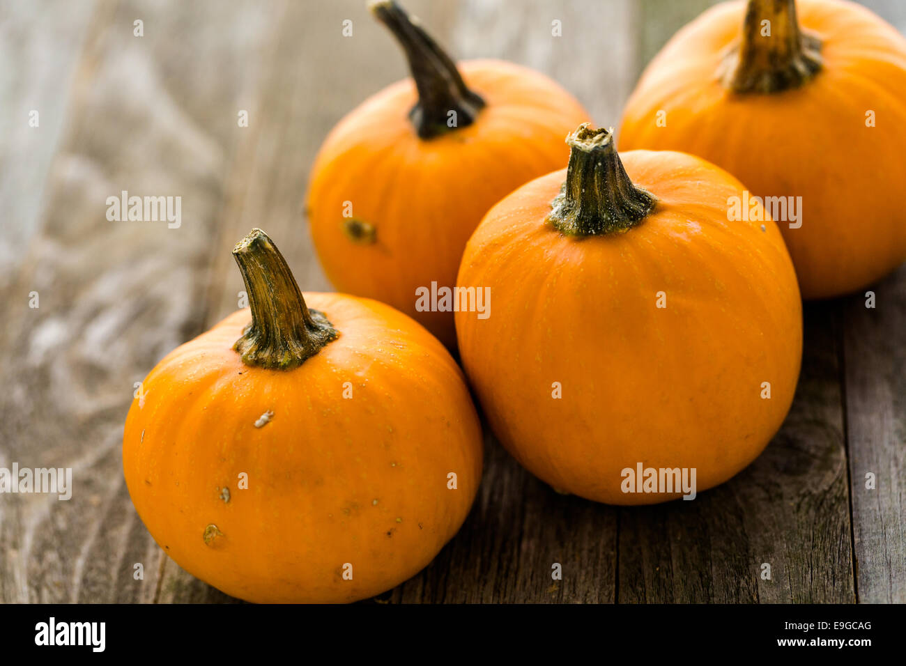 Fresh organic pumpkins from the local farmers market Stock Photo - Alamy