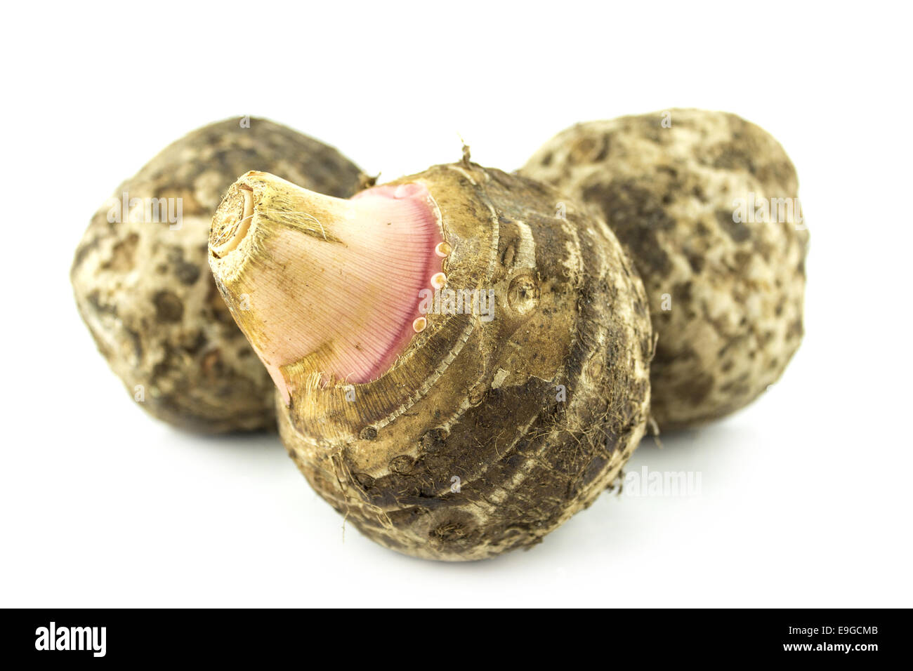 Taro root hi-res stock photography and images - Alamy