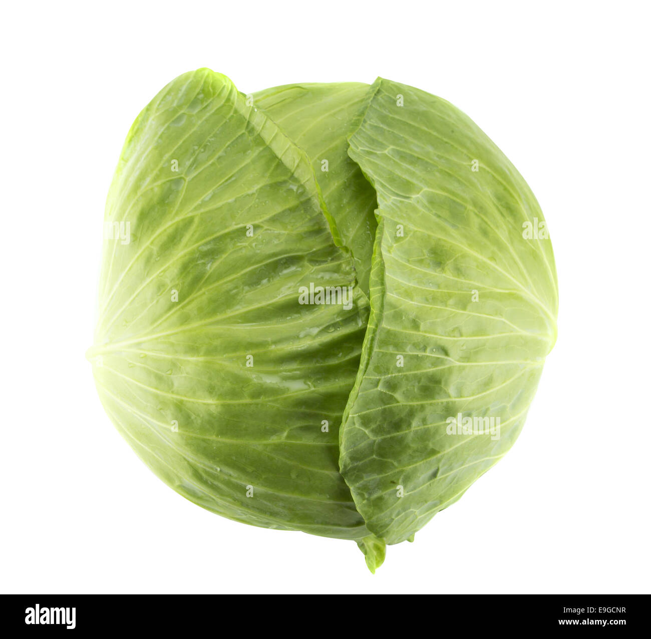 Fresh green cabbage hi-res stock photography and images - Alamy