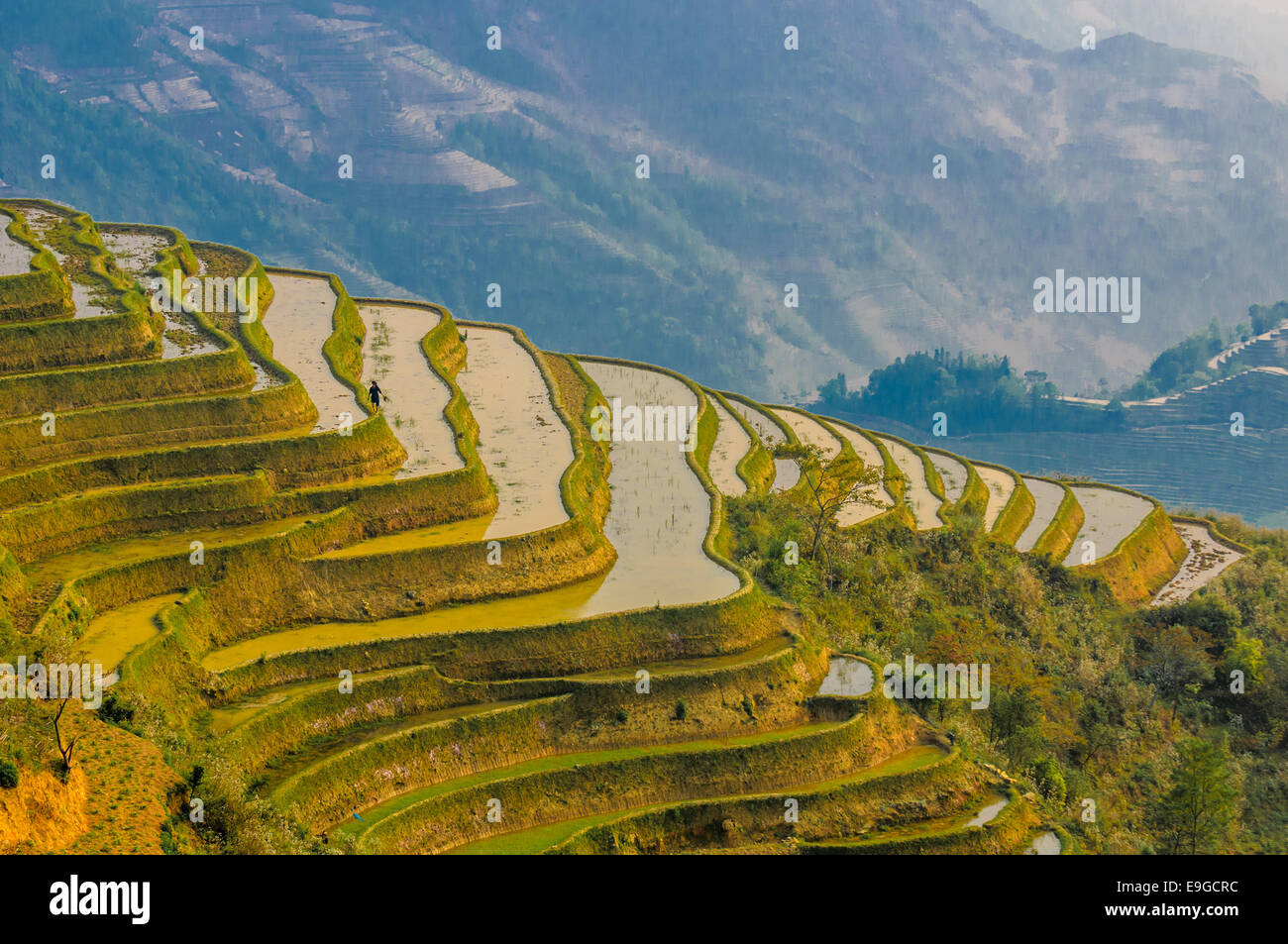 Rice terraces of Yuanyang, Yunnan, China Stock Photo - Alamy