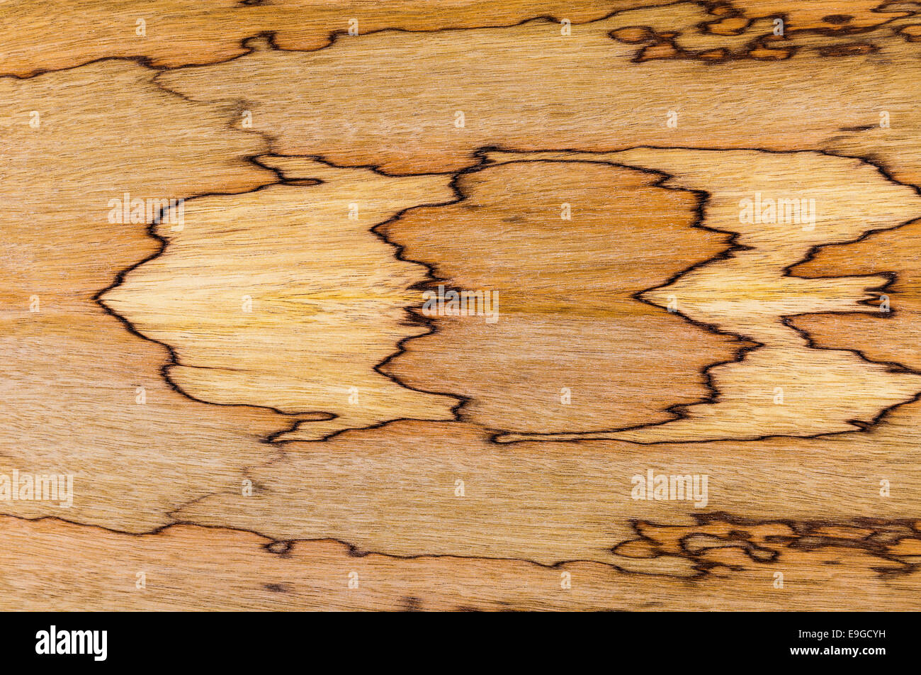 African walnut natural wood texture as a background Stock Photo - Alamy