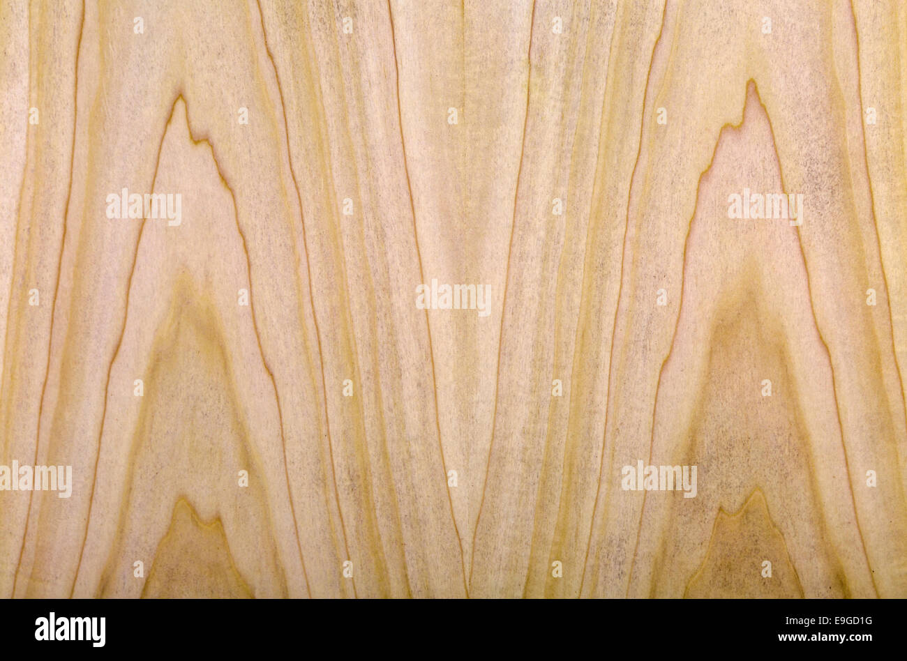 Maple wood texture hi-res stock photography and images - Alamy