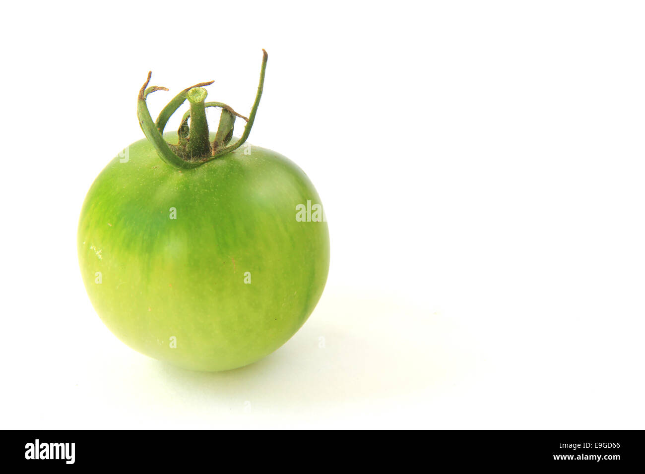 Gross tomato hi-res stock photography and images - Alamy