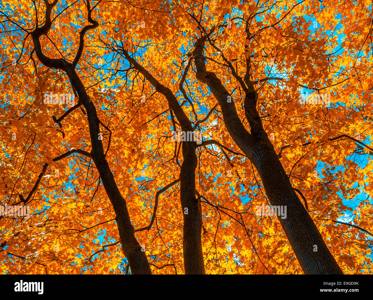 Autunm hi-res stock photography and images - Alamy