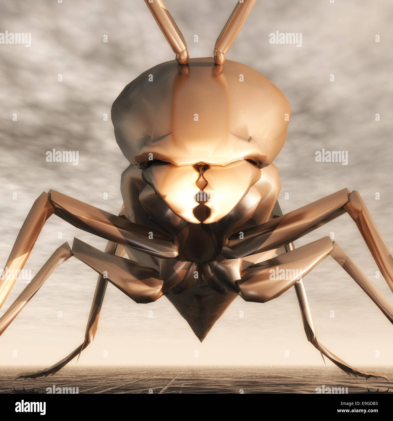 Wasp threat hi-res stock photography and images - Alamy