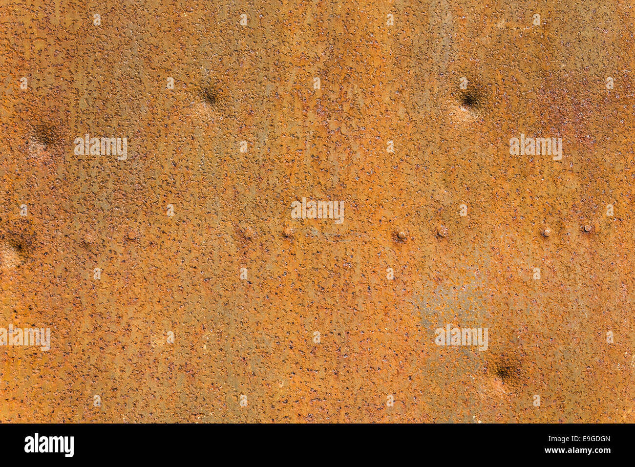 Rustlet hi-res stock photography and images - Alamy