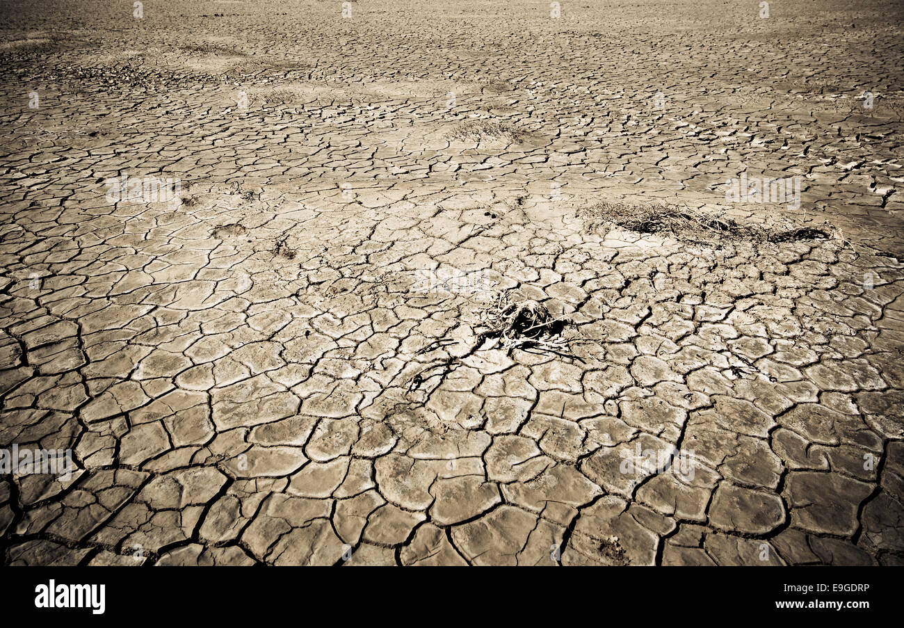 Cracked soil of desert Stock Photo - Alamy