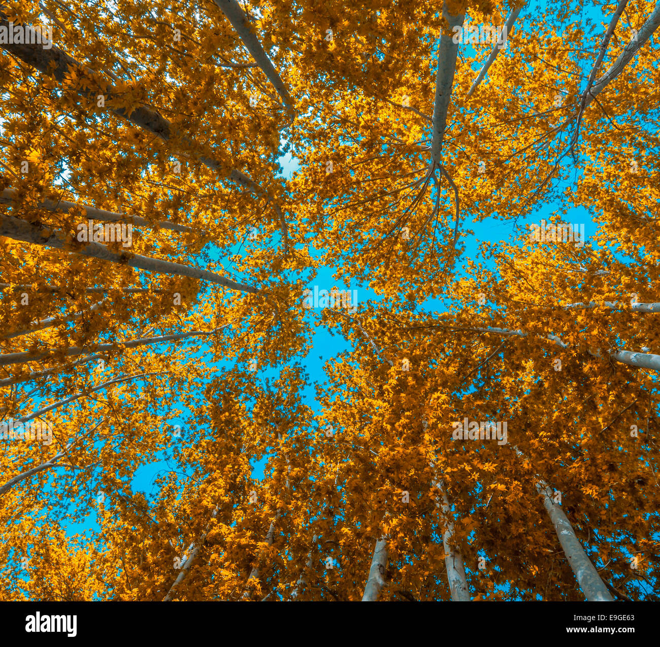 Autunm hi-res stock photography and images - Alamy