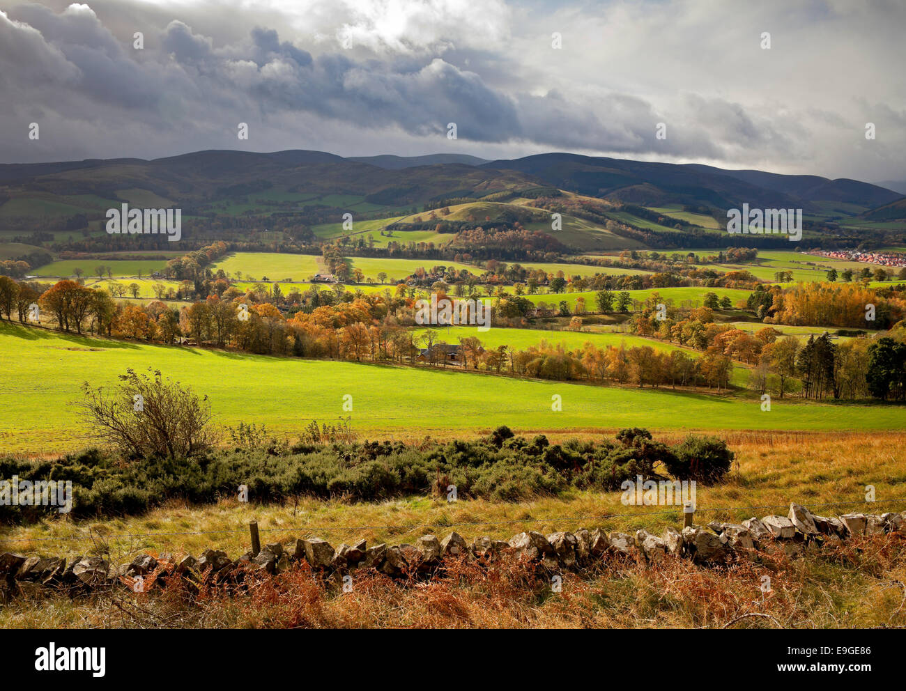 Glentress tweed hi-res stock photography and images - Alamy