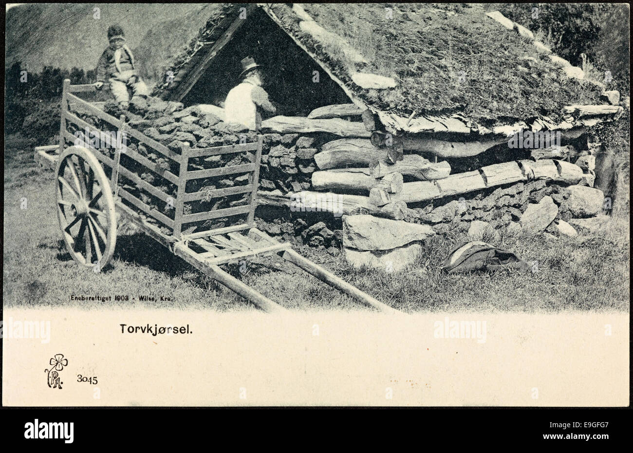This postcard, taken by Anders Beer Wilse, depicts the practice of turf cutting, a significant ...