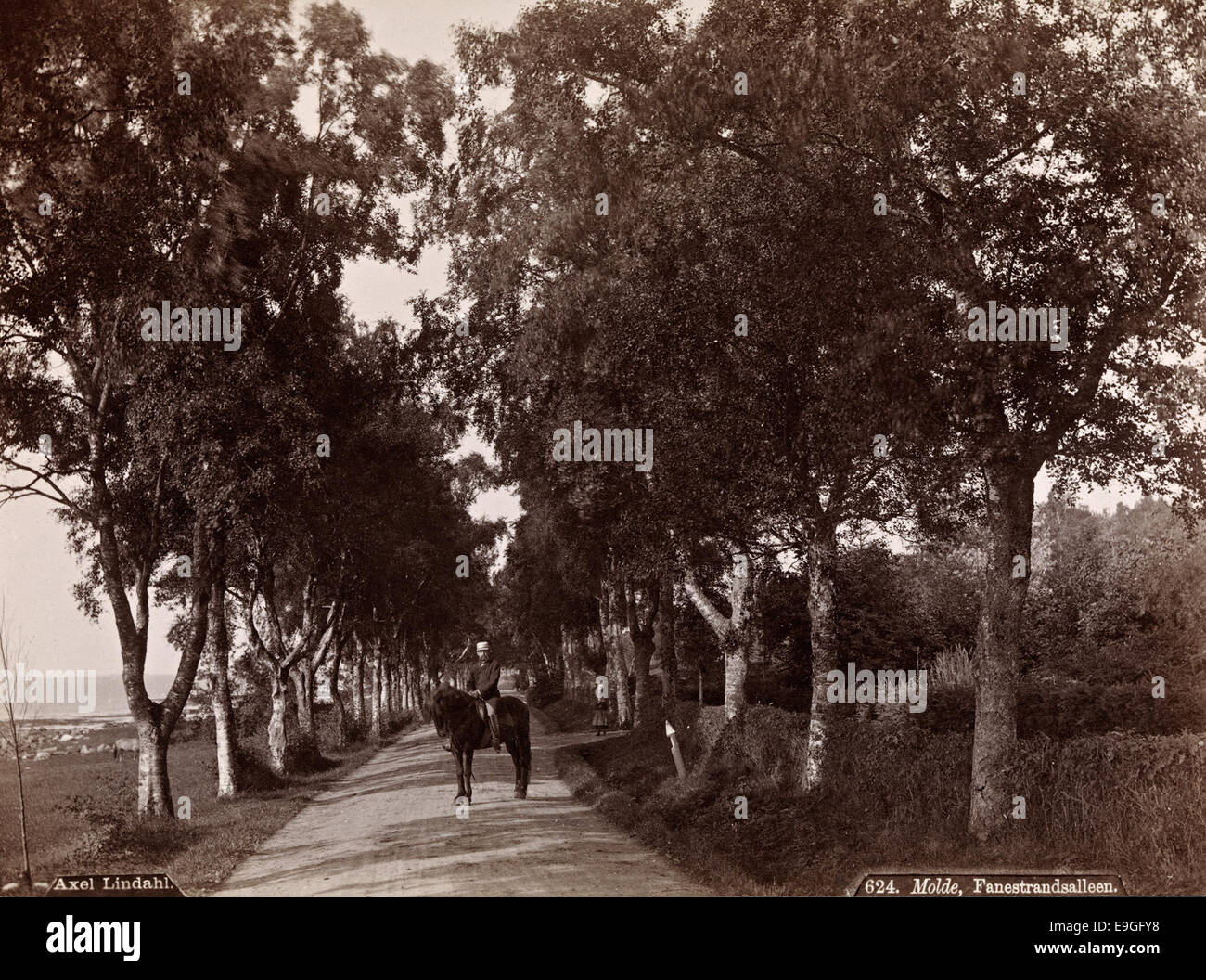 Molde library hi-res stock photography and images - Alamy