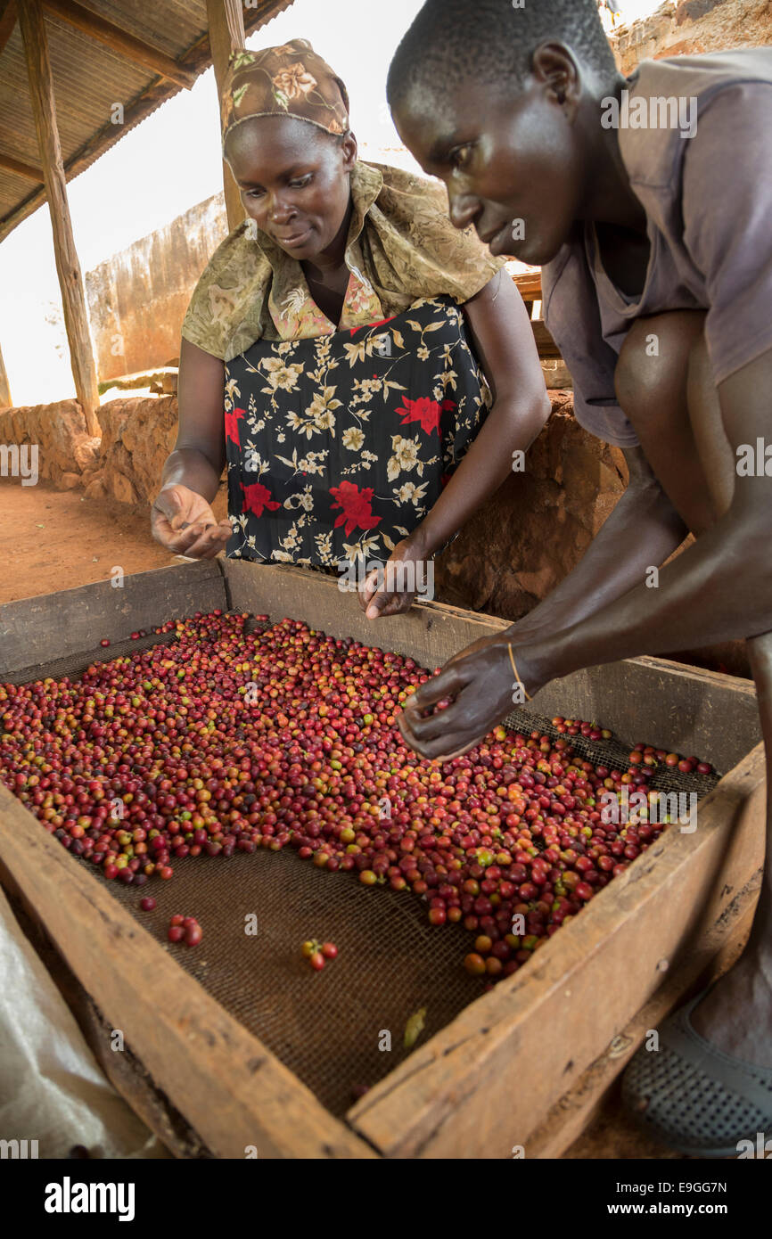 South african women farmer hi-res stock photography and images - Alamy
