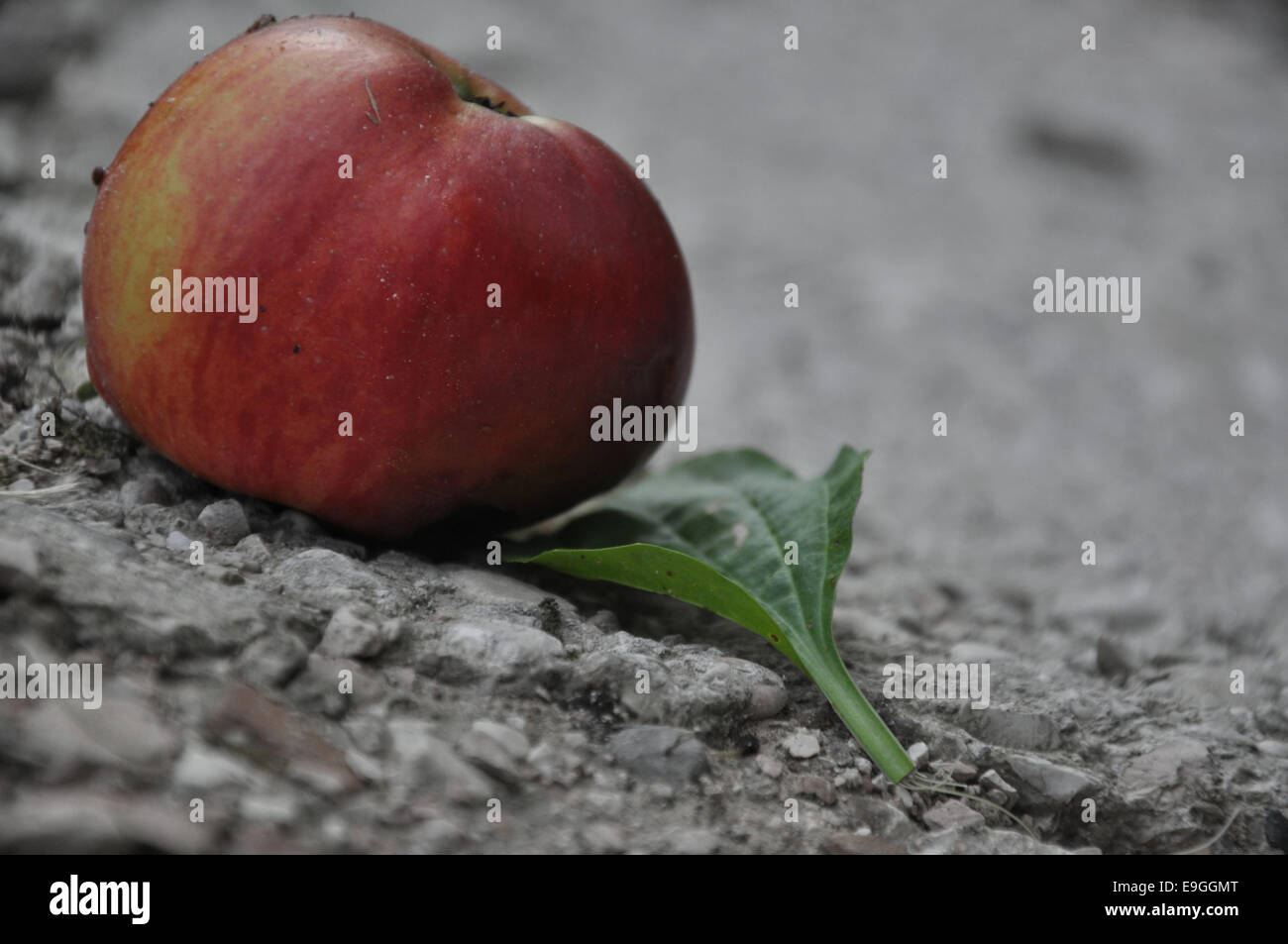 Red Apple Black And White