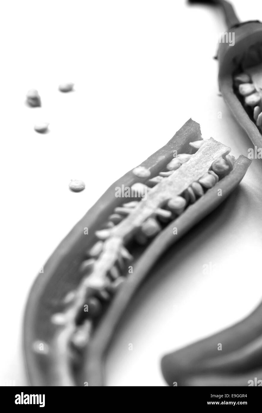 Red seeds Black and White Stock Photos & Images - Alamy