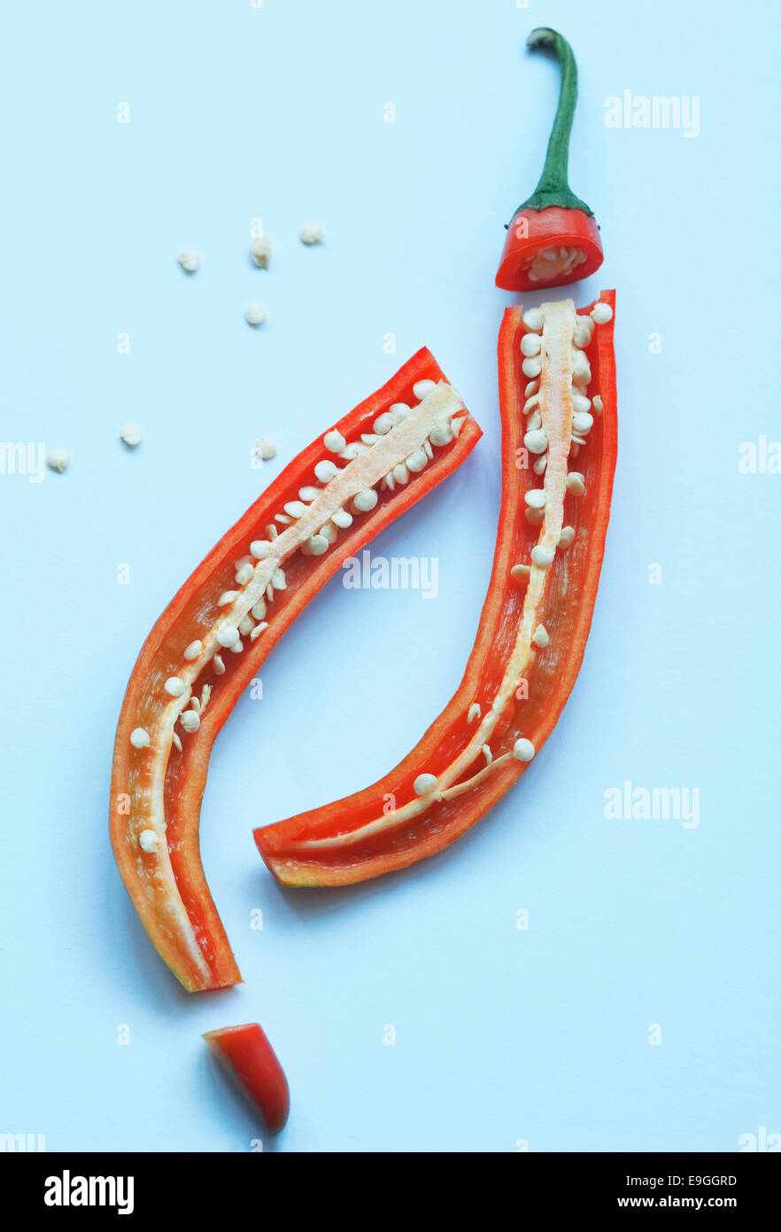 Still life food image of a red chilli pepper on a plain background ...