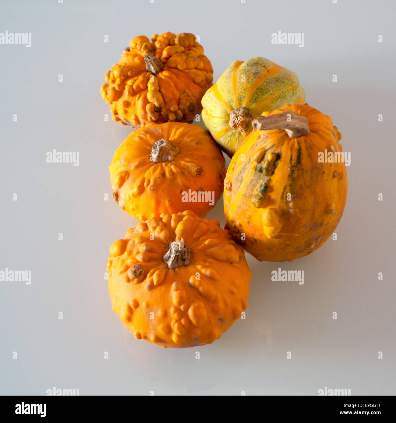 Composition fresh pumpkins hi-res stock photography and images - Alamy