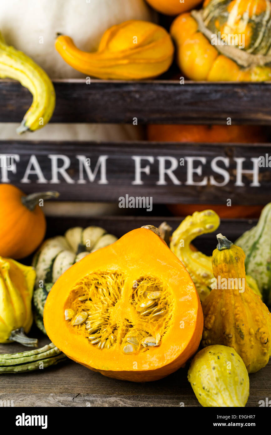 Fresh organic pumpkins from the local farmers market Stock Photo - Alamy