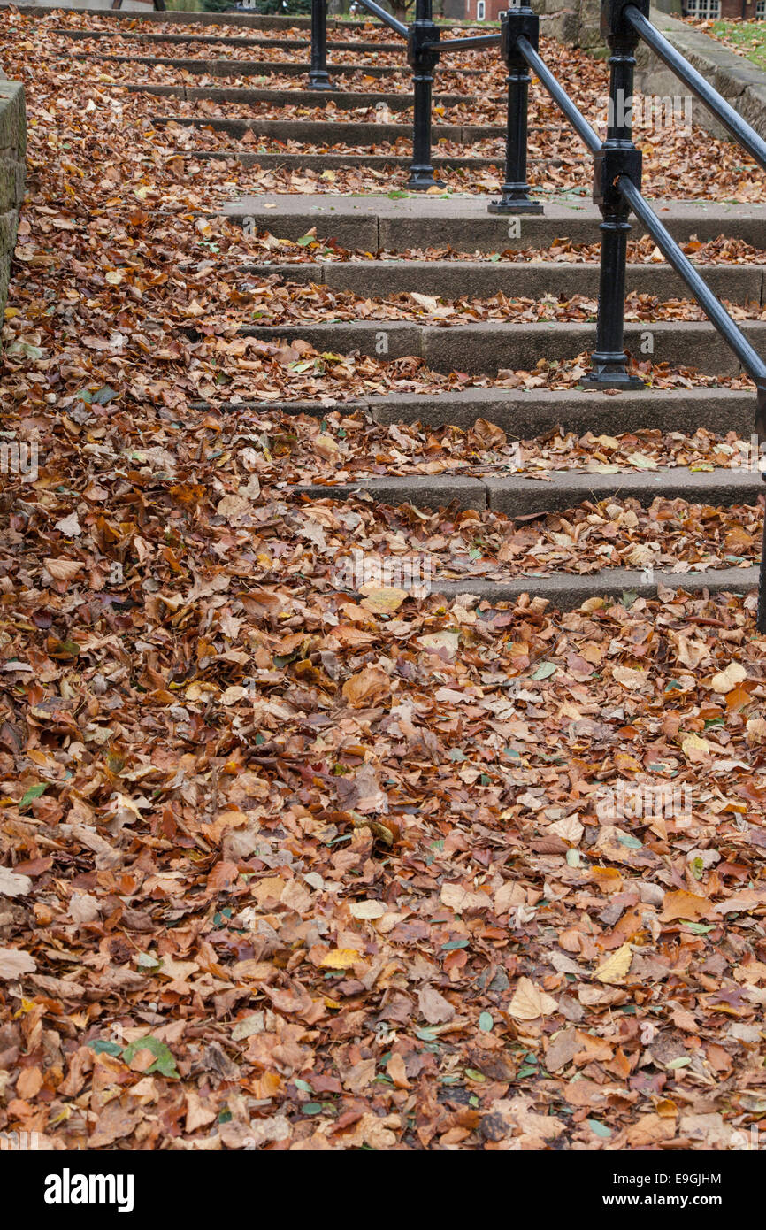 Autumn leaves on street steps , Bournville, Birmingham, England, UK ...