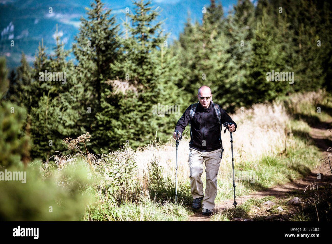 Man hiking in a forest Stock Photo - Alamy