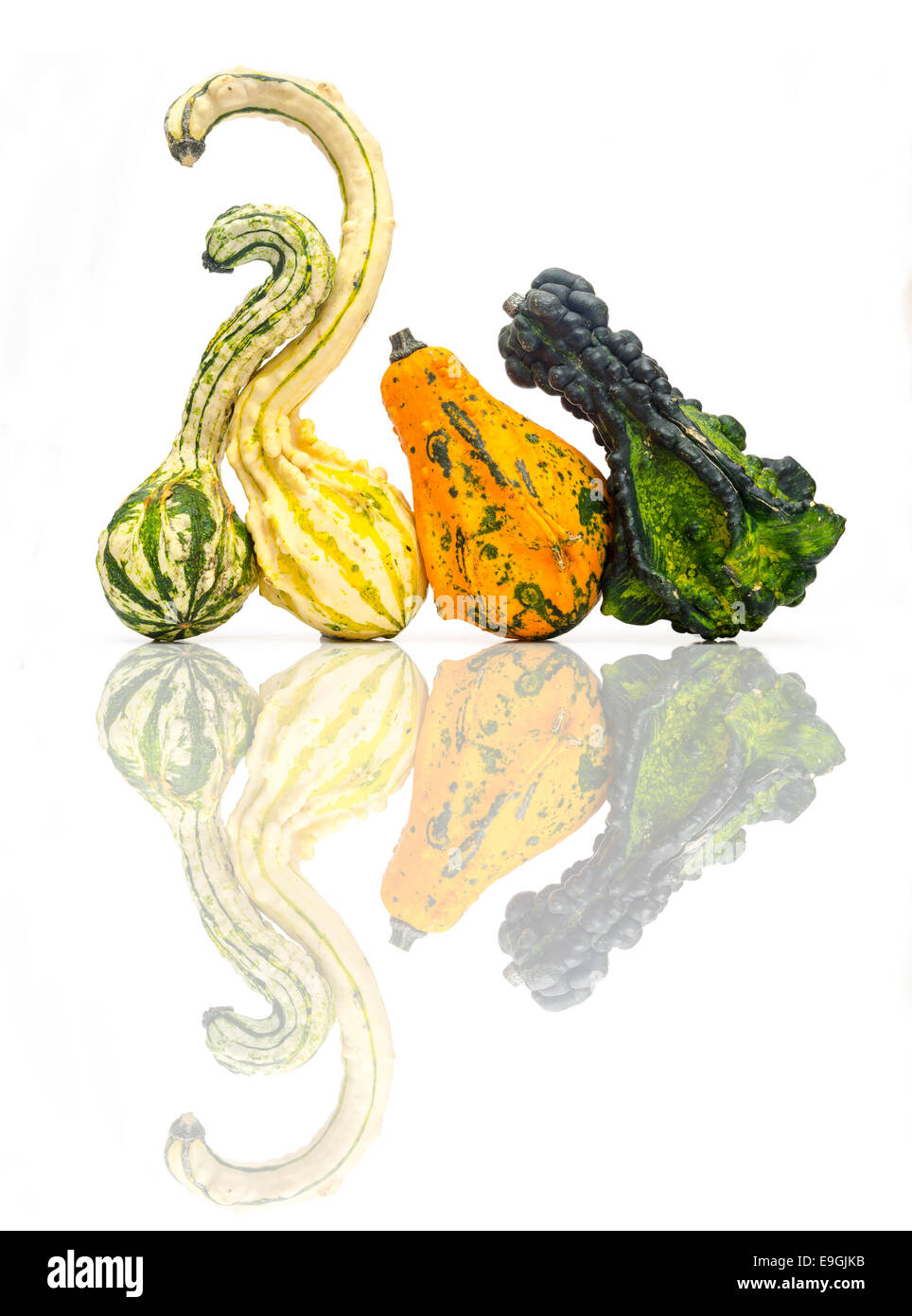 Unusual shaped Gourds Stock Photo - Alamy