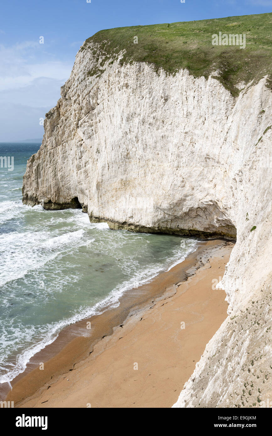 View across the chalk cliffs of the South West Coastal Path between ...