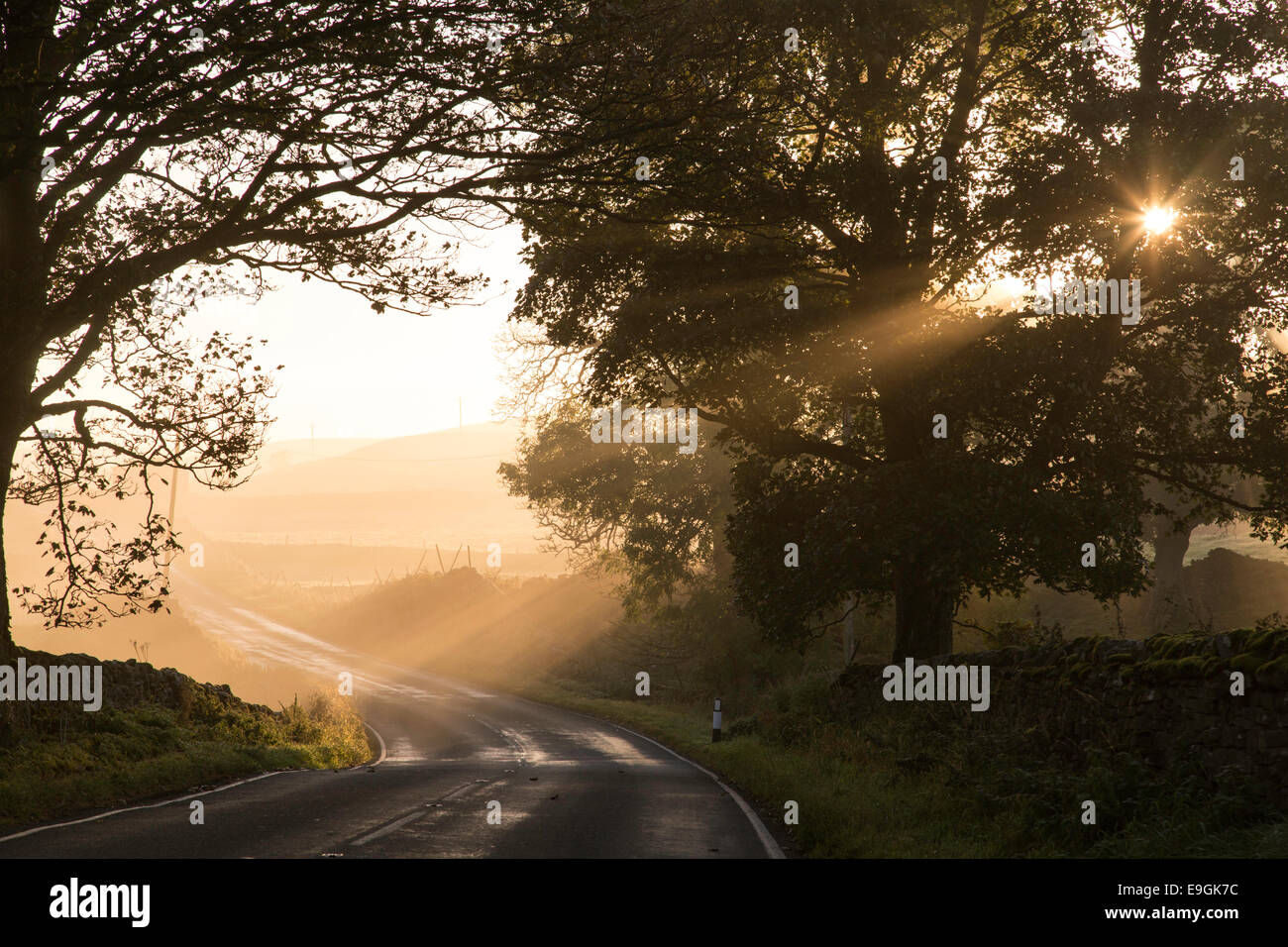 Mist roads hi-res stock photography and images - Alamy