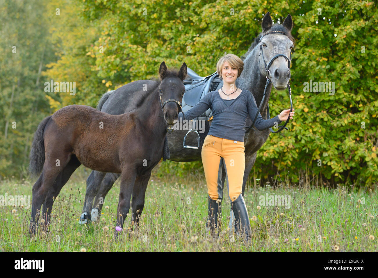 Connemara pony girl hi-res stock photography and images - Alamy