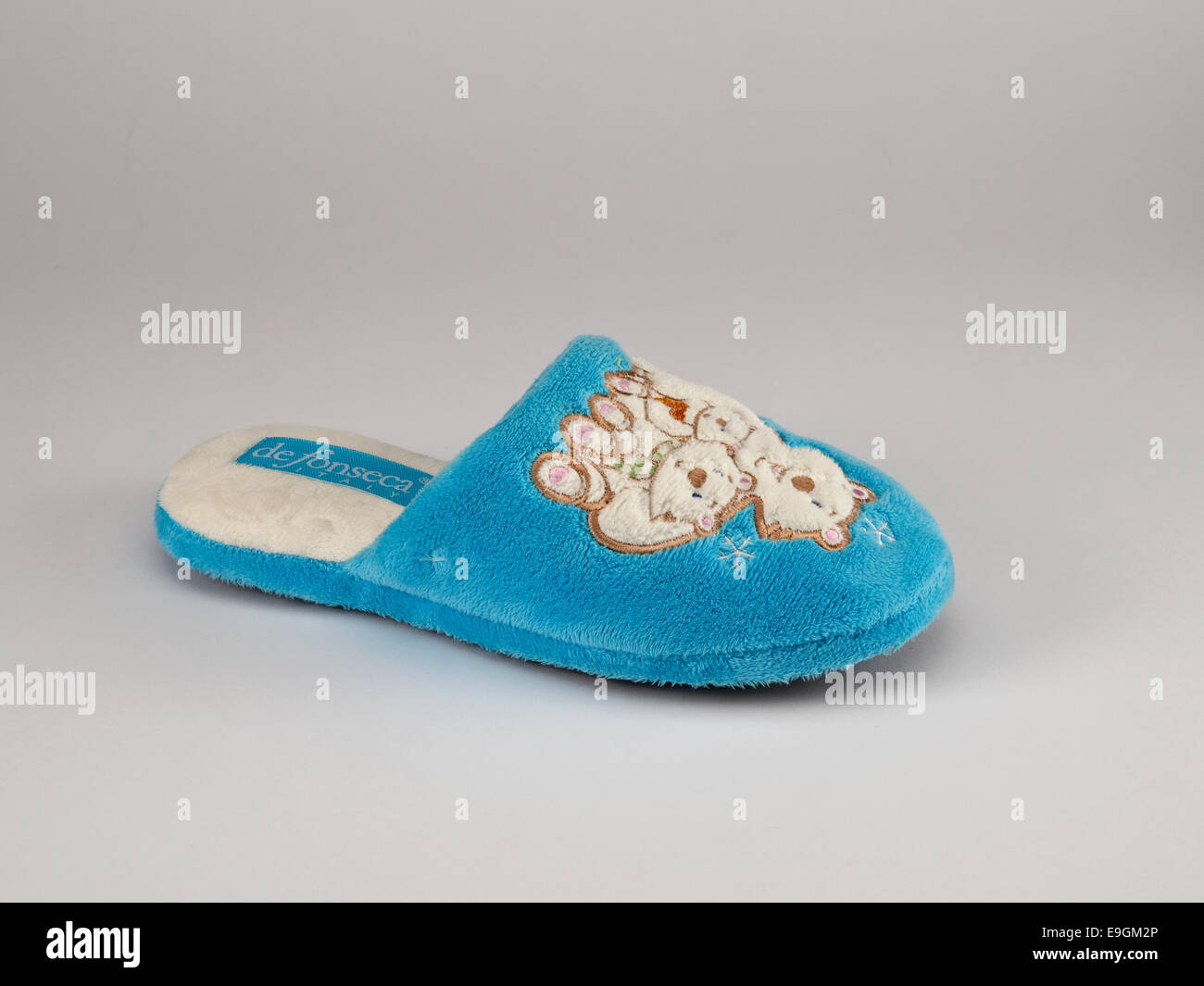 Blue slipper hi-res stock photography and images - Alamy