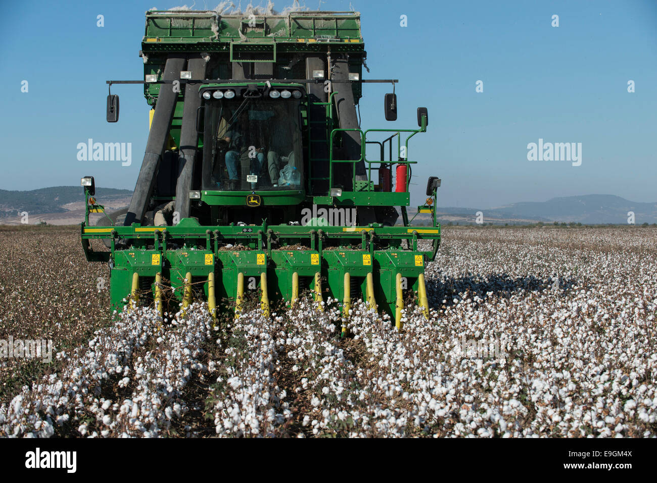 TURKEY, Kesik, near Menemen, company Genel Pamuk, harvest of ...