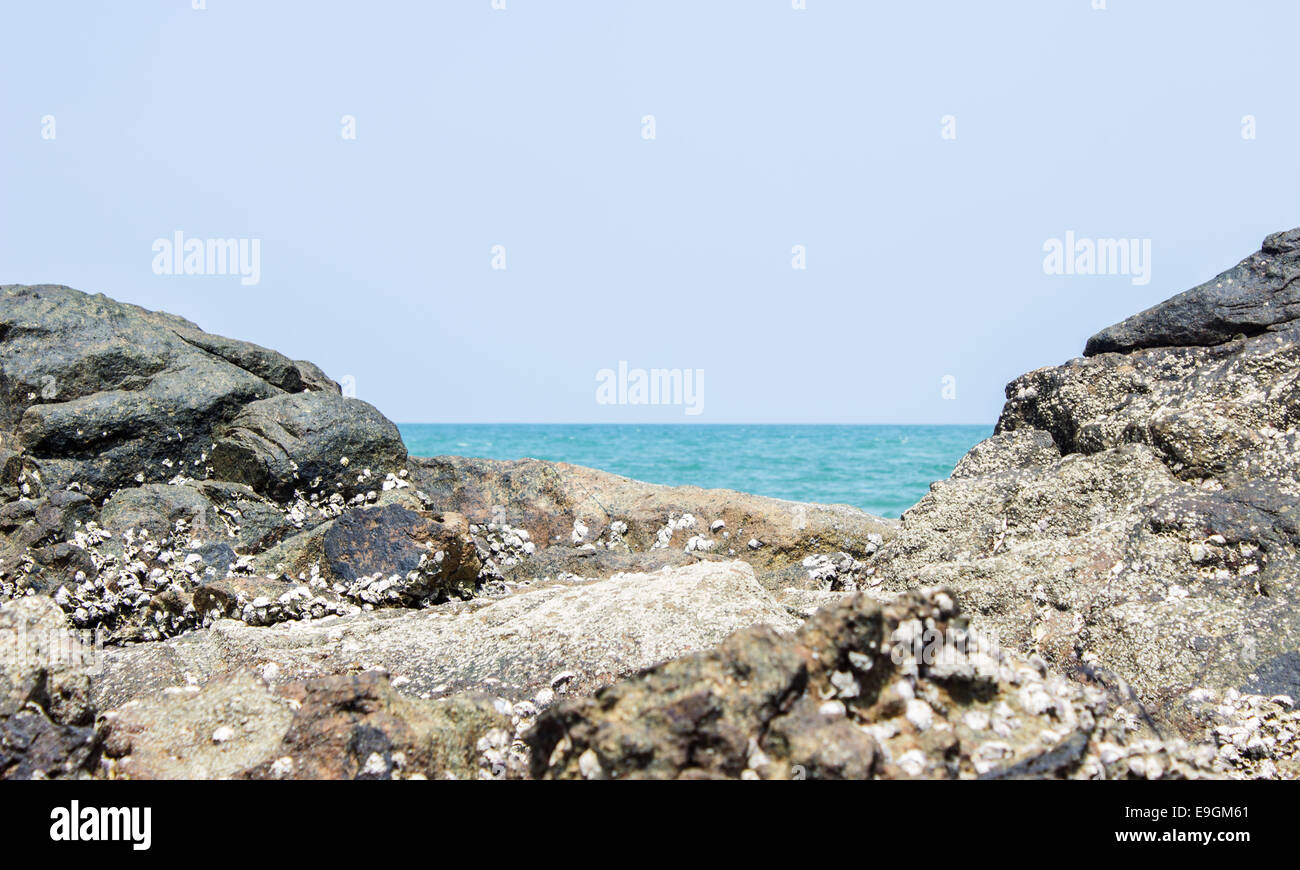 Rocky shells hi-res stock photography and images - Alamy