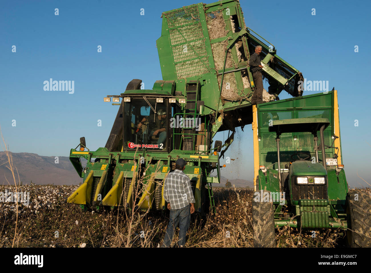 TURKEY, Kesik, near Menemen, company Genel Pamuk, harvest of ...