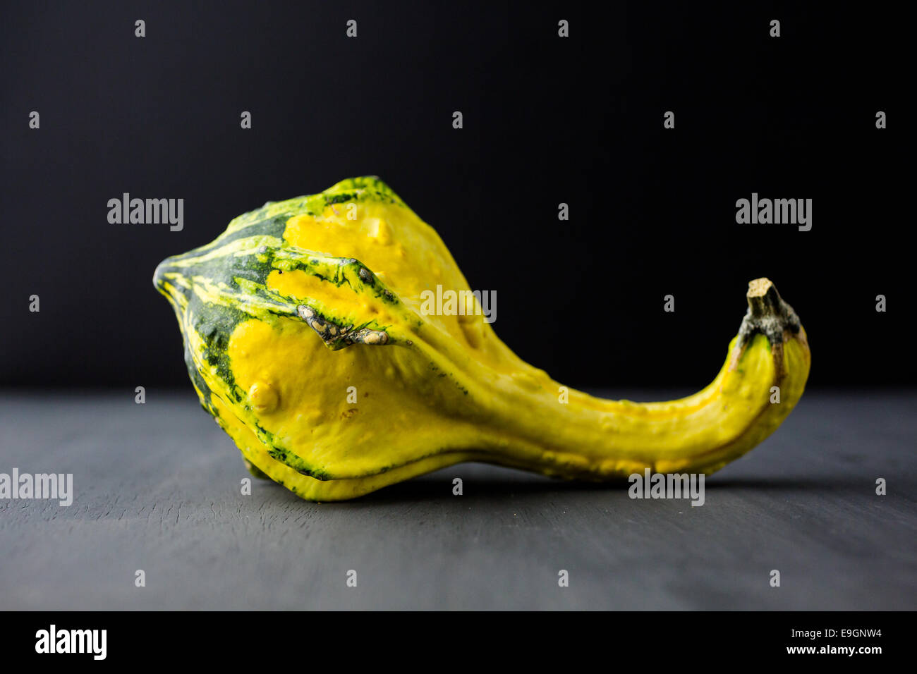 Organic miniature gourds on black background Stock Photo - Alamy