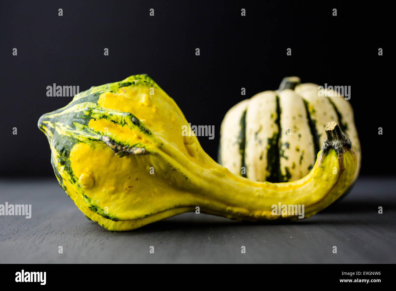Organic miniature gourds on black background Stock Photo - Alamy