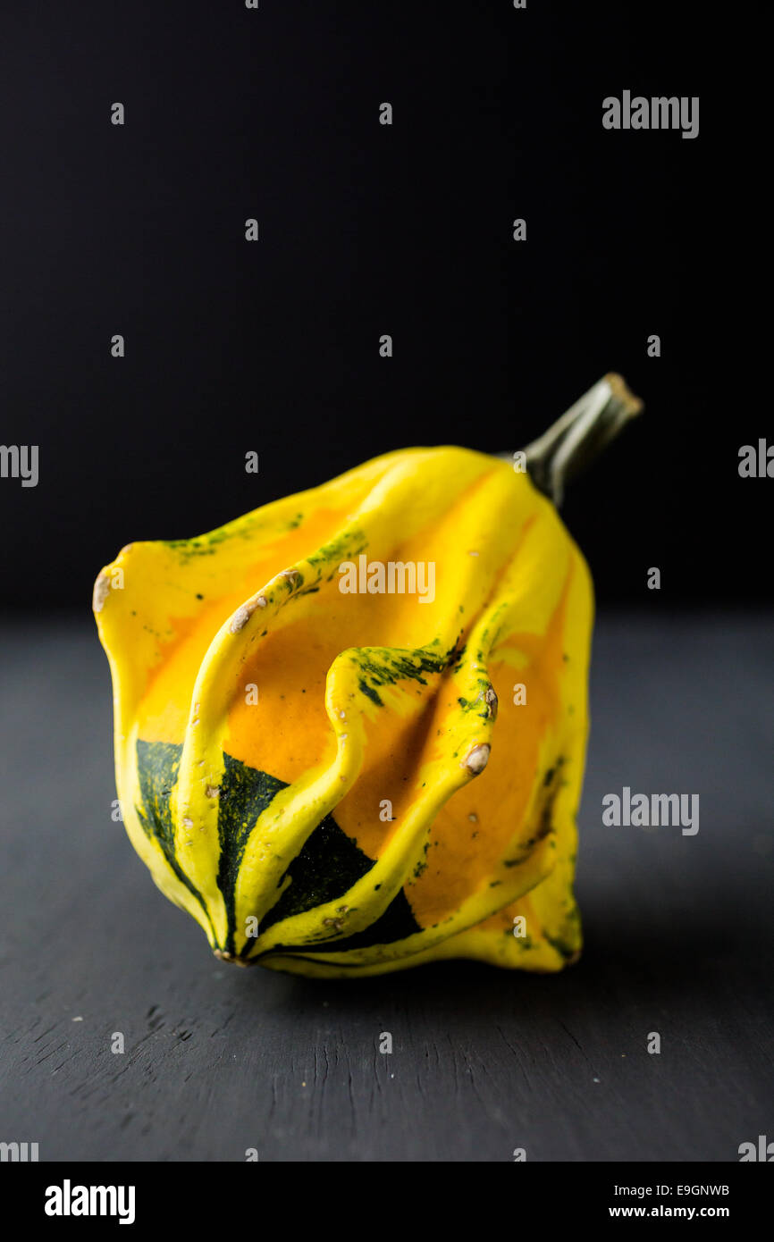 Organic miniature gourds on black background Stock Photo - Alamy