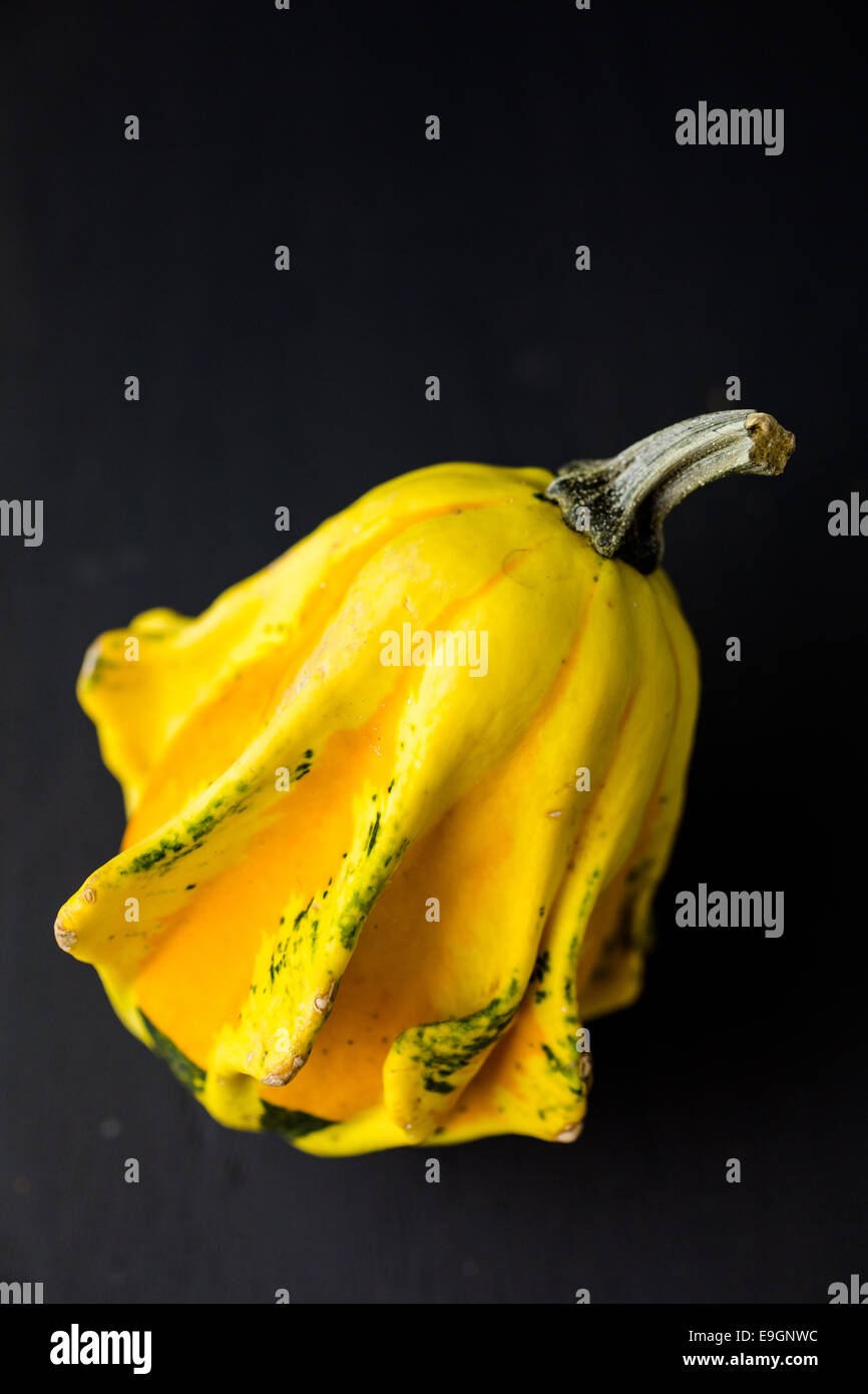 Organic miniature gourds on black background Stock Photo - Alamy